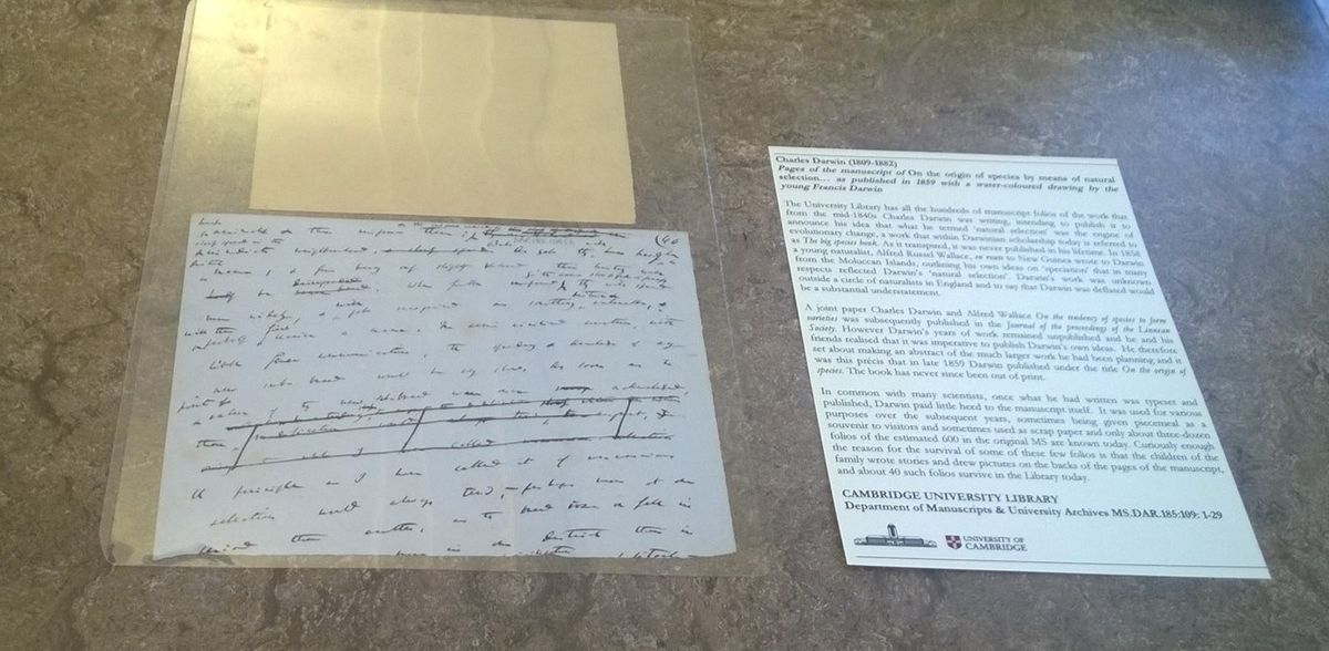 Aura again: habent sua fata libelli